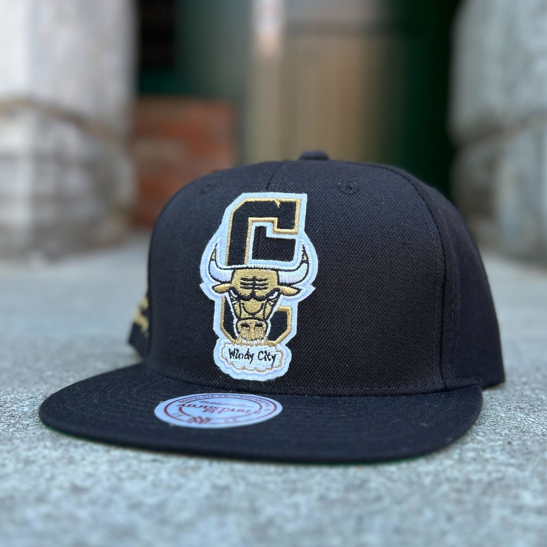 Chicago Bulls Graduation Snapback Hat – The Sport Gallery