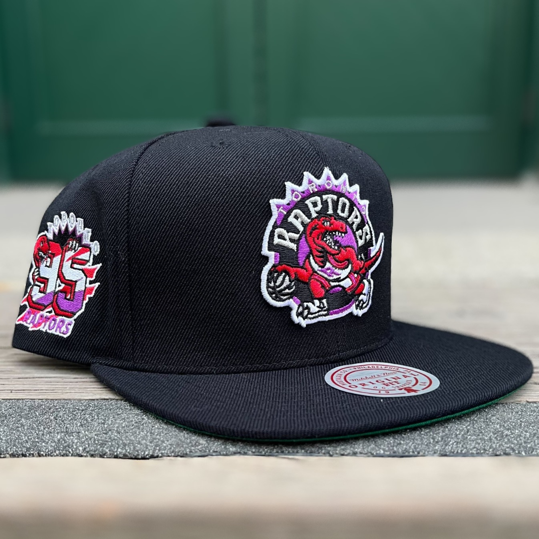 Toronto Raptors NBA Side Jam Snapback – The Sport Gallery