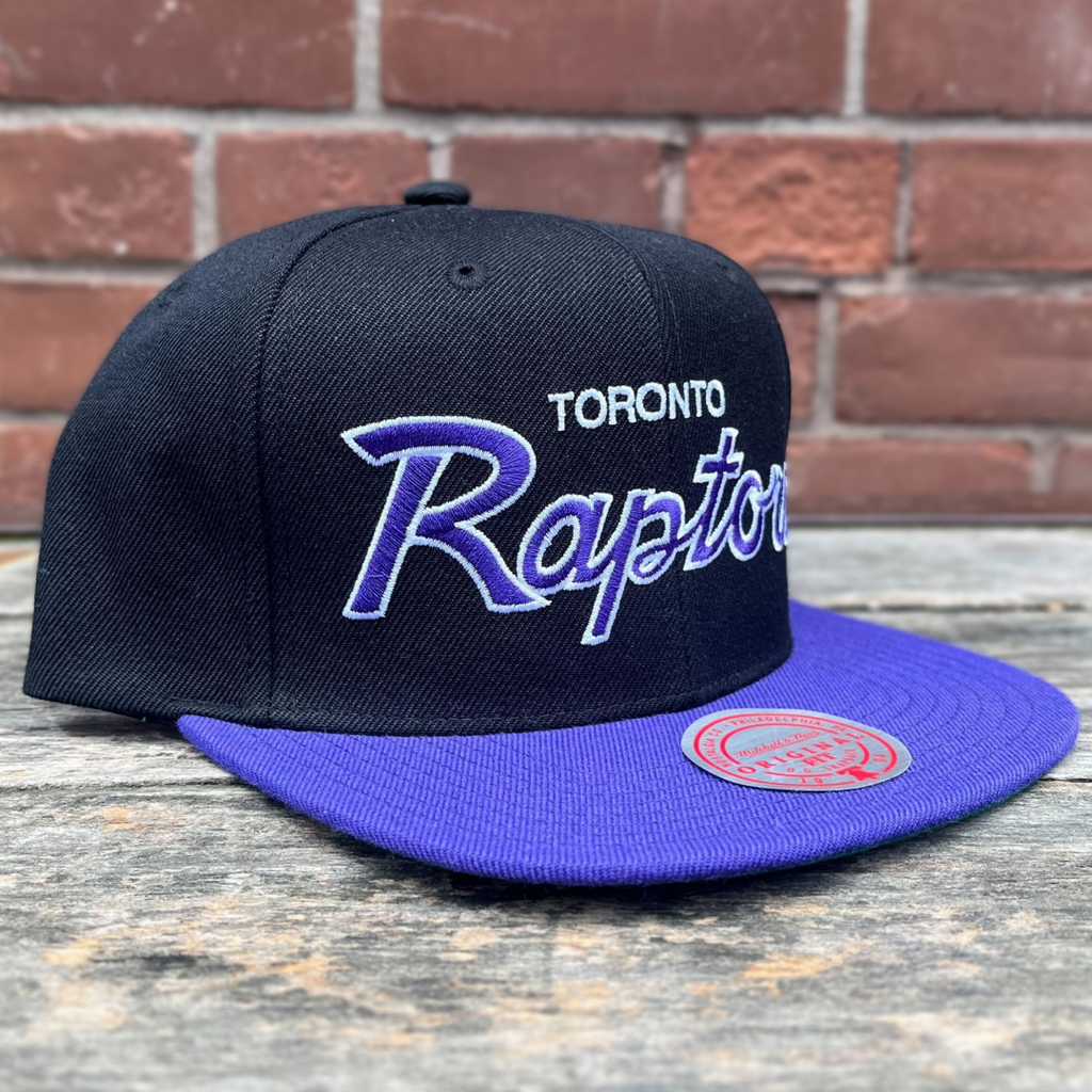 The Best Toronto Raptors Retro Jerseys, Hats, Tees, and Gifts – The ...