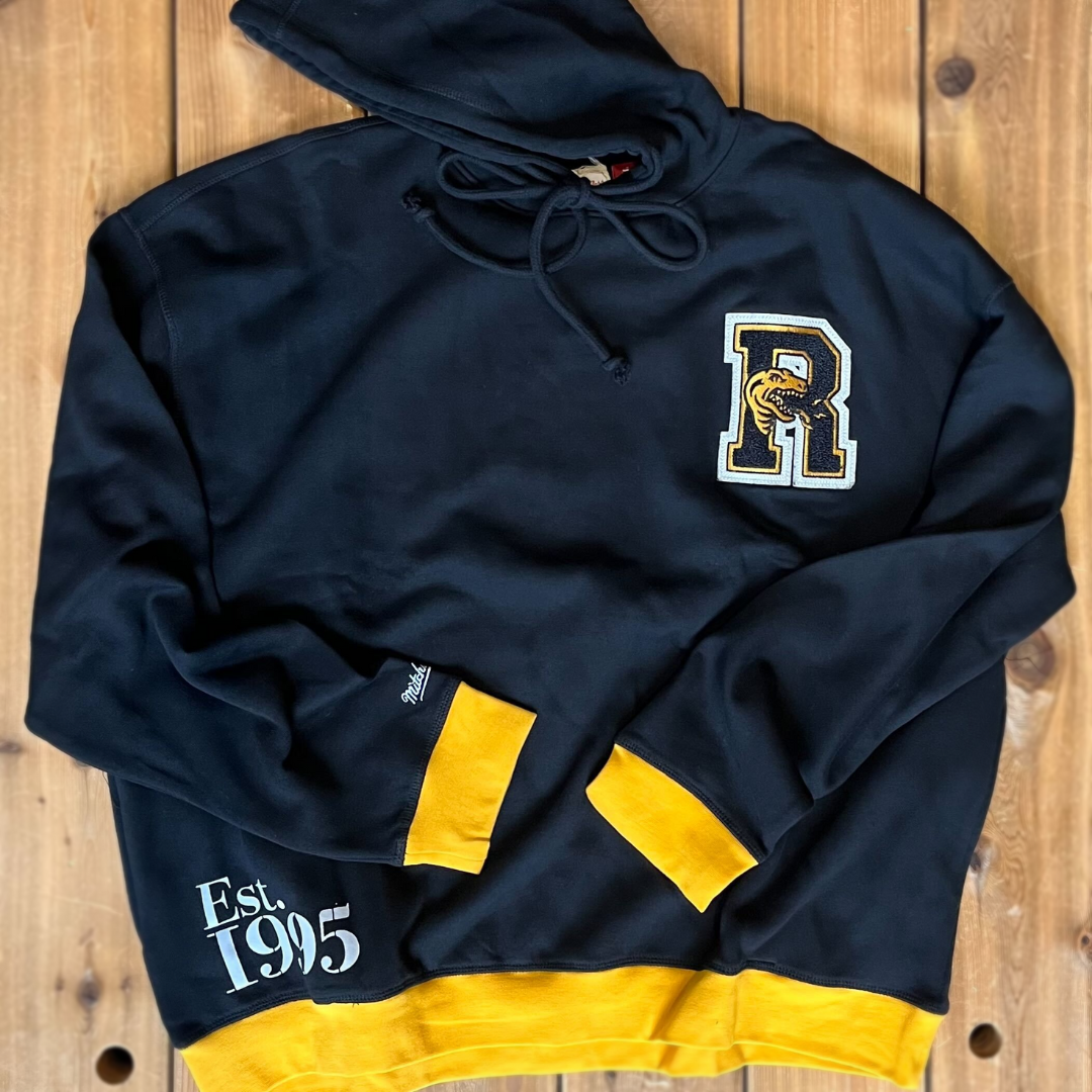 Toronto Raptors Retro Stallion Gym Hoody – The Sport Gallery