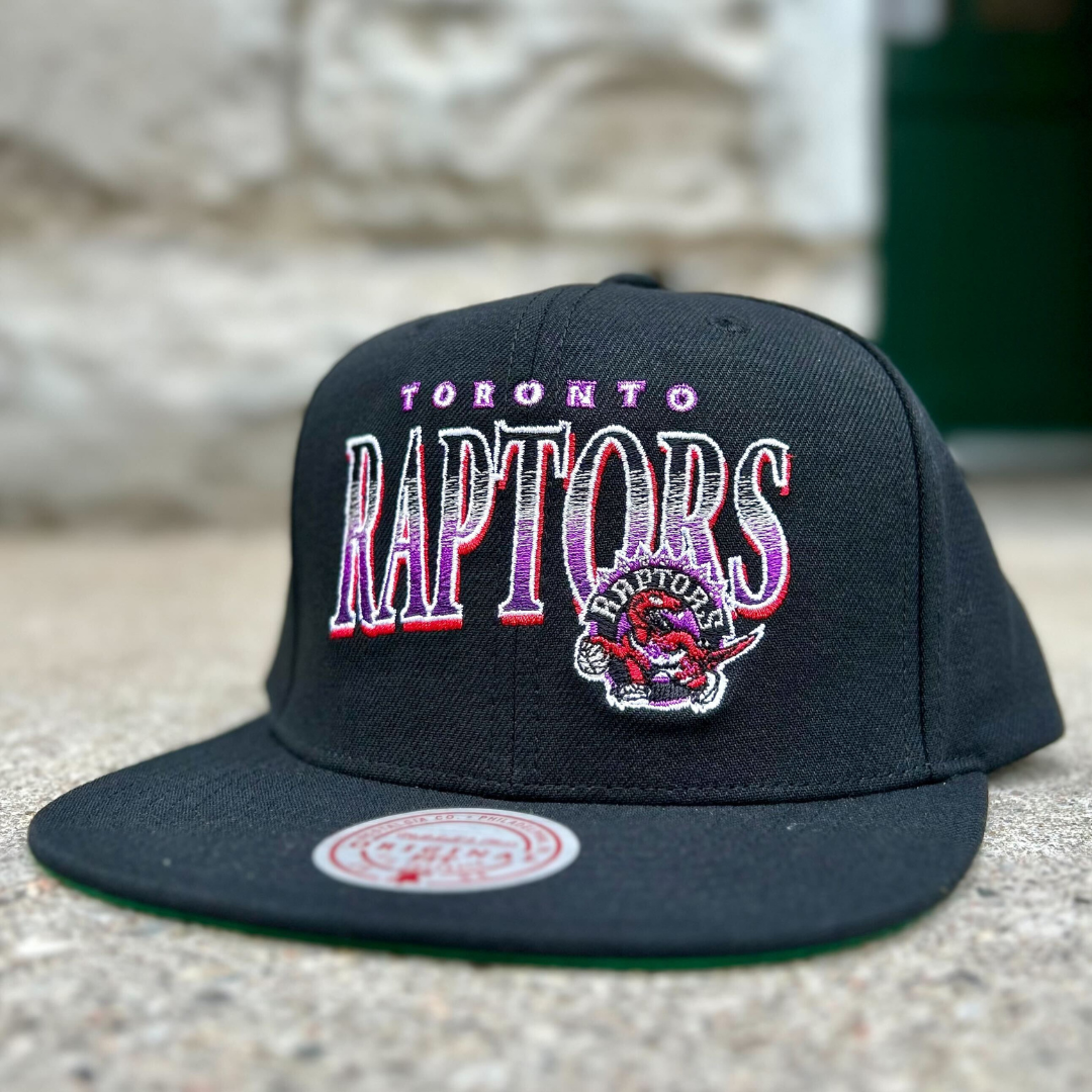 Toronto Raptors NBA Line Work Snapback – The Sport Gallery