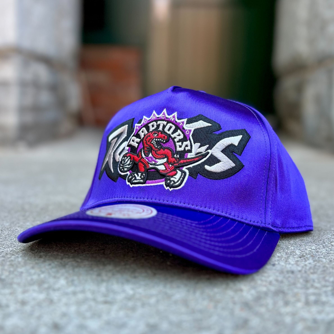 Toronto Raptors NBA Satin Pro Pinch Fit Hat – The Sport Gallery