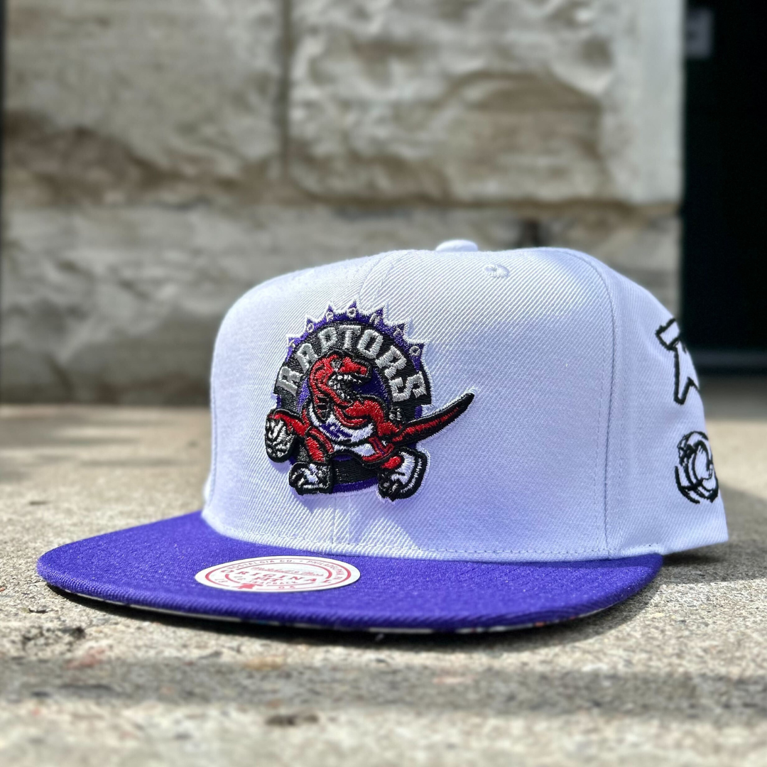 Toronto Raptors NBA Scribbles Snapback – The Sport Gallery