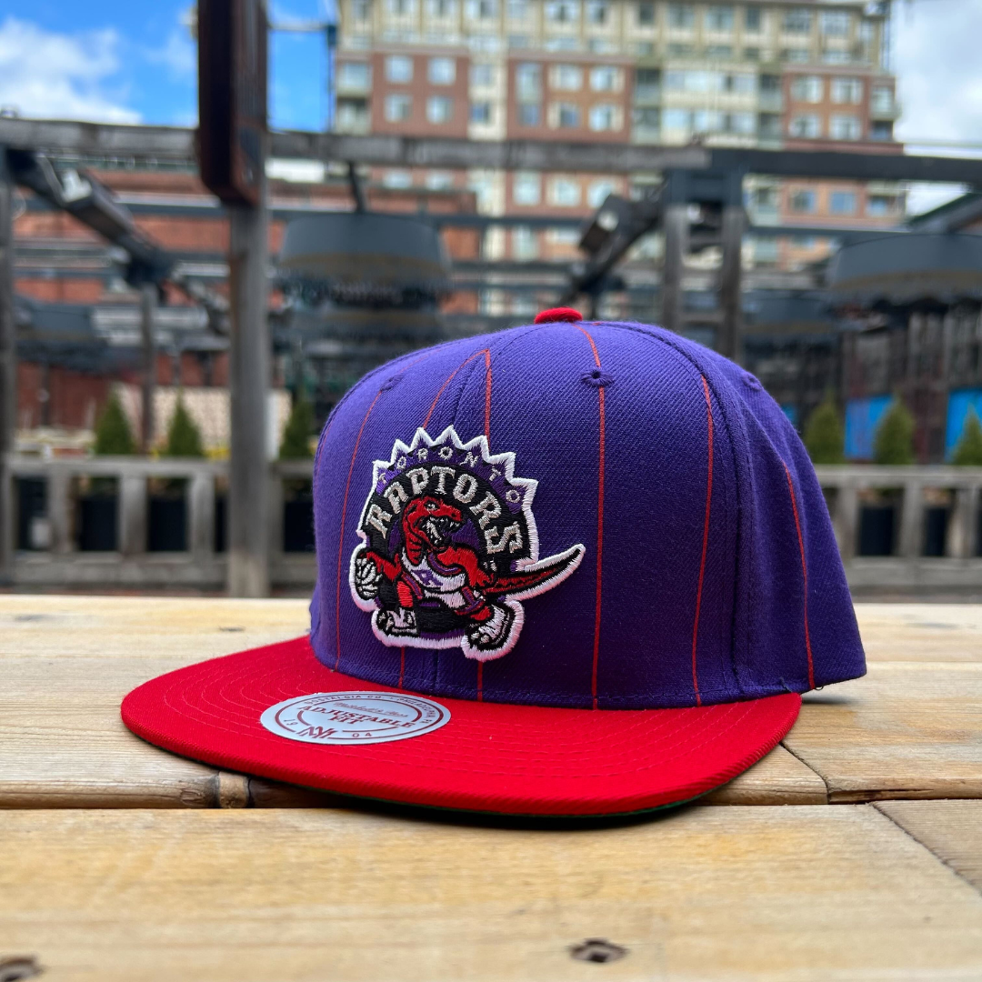 Toronto Raptors NBA Team Pinstripe Snapback – The Sport Gallery