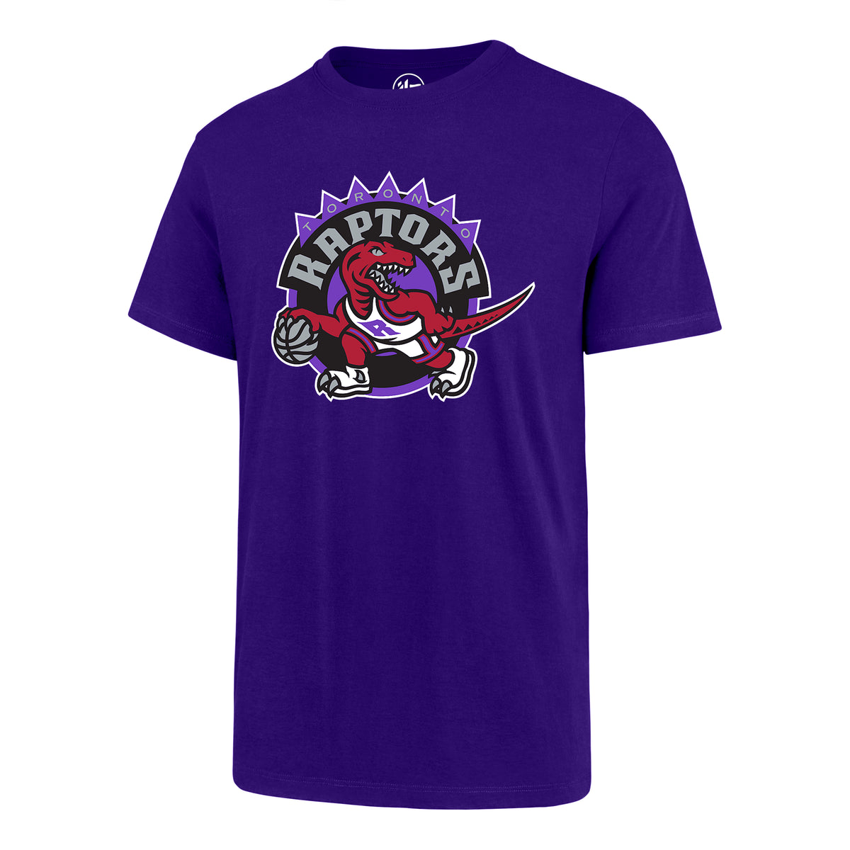 Toronto Raptors Throwback NBA Big Logo Tee (Purple) – The Sport Gallery