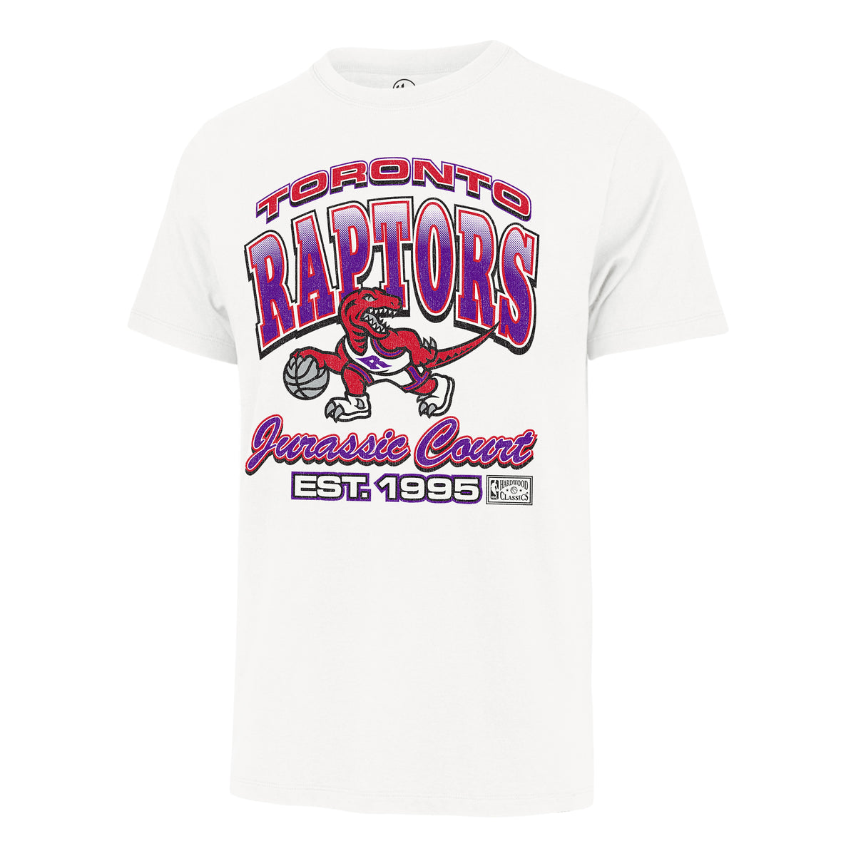 Toronto Raptors Throwback NBA Bounce Arch Tee – The Sport Gallery